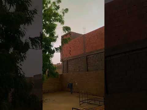 سورة الشورى القارئ اسلام صبحي #قرآن #quran #قران_كريم #fyp
