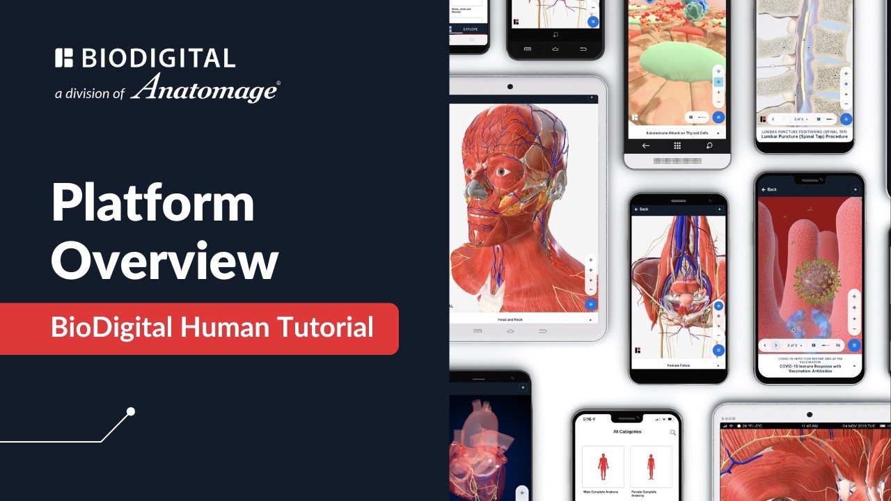BioDigital Human Platform Overview: 3D Anatomy for Medical Education and Patient Communication