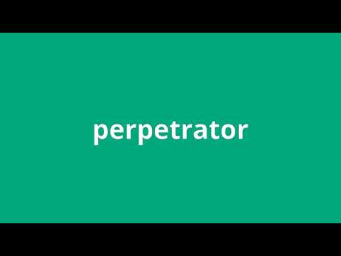 what is the meaning of perpetrator
