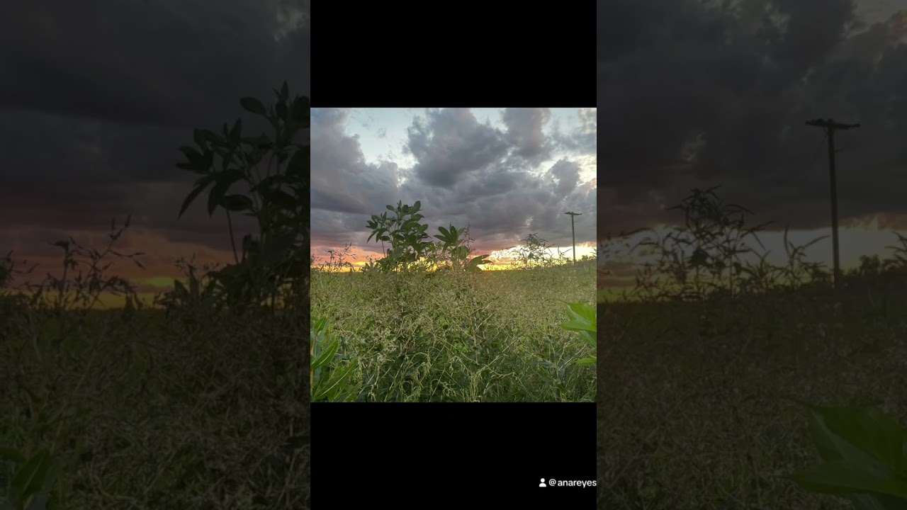 Taking pictures of the sky is one of my favorite hobbies #sky #sunset #amazing