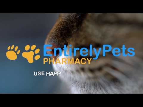 Your Pet's Health is our Priority - Entirely Pets Pharmacy