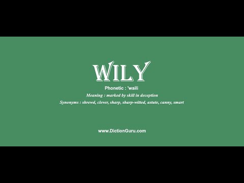 wily: How to pronounce wily with Phonetic and Examples