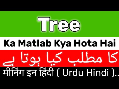 Tree Meaning | Tree Meaning In Urdu Hindi | Tree Ka Matlab Kya Hai | Tree Ka Meaning Kya Hai