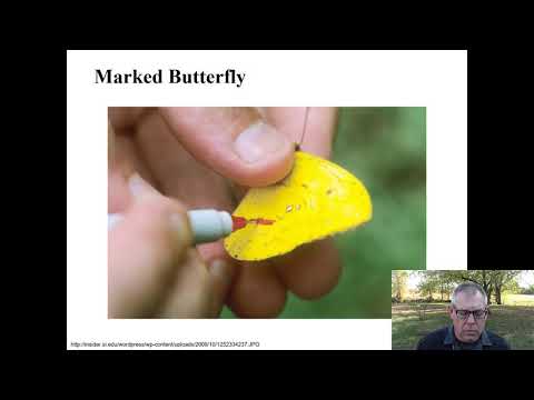 BIO 101 Lecture 18 - Population Ecology