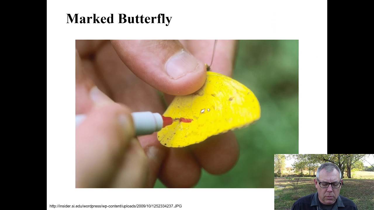 BIO 101 Lecture 18 - Population Ecology