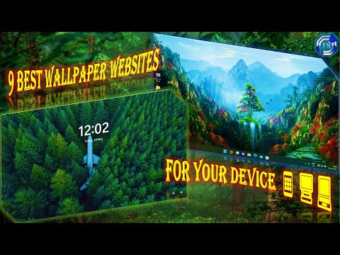 9 Best Website to Download 4K Wallpapers for PC - How to Download 4k Wallpapers for your PC! - 2022