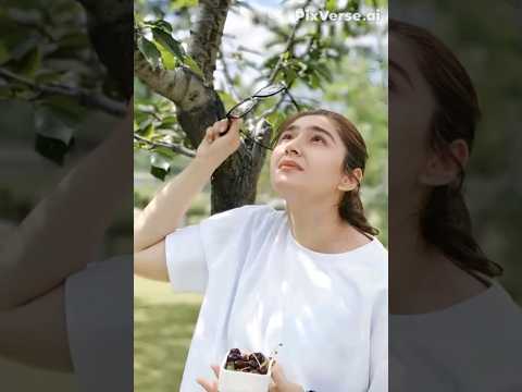 durafishio danish Timor new videos drama episode drama episode today full Pakistan actress drama