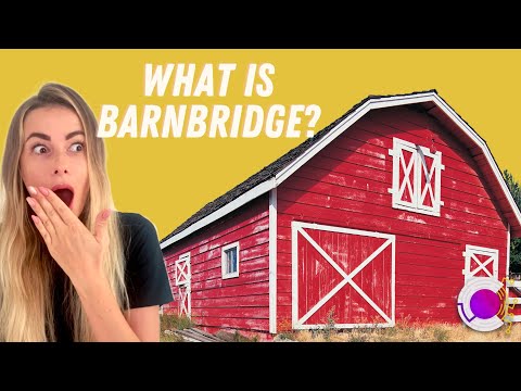 What Is BarnBridge?