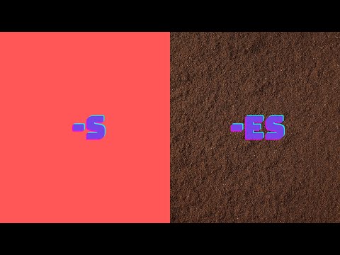English | Suffixes | -s and -es
