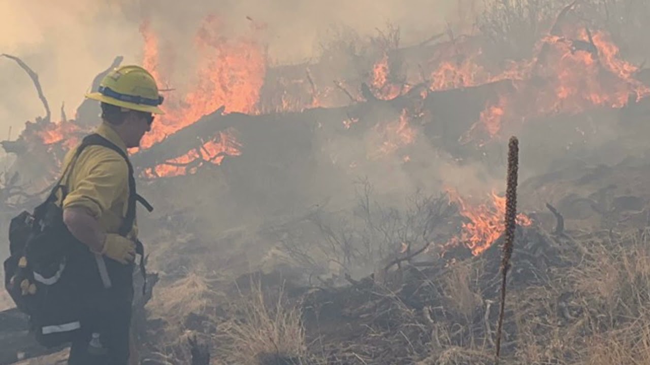 Prepare Your Home for Wildfires