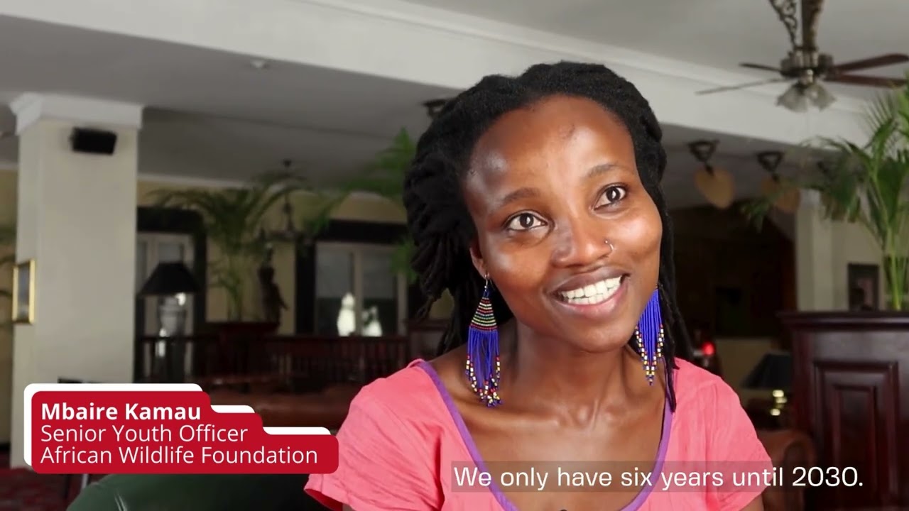 | Interviews | Priority next steps to implement The Biodiversity Plan