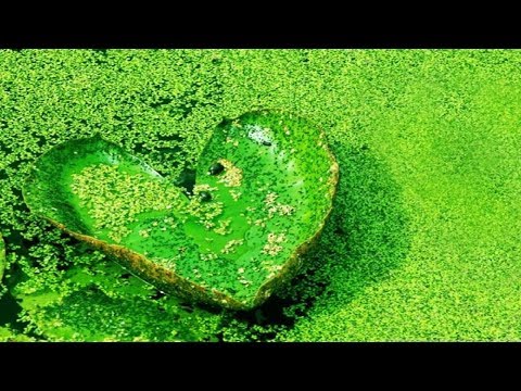 Best Romantic Love Messages for Wife to Make Her Smile - Love quotes for wife from heart