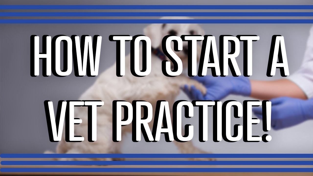 Tips For Opening Your Vet Practice