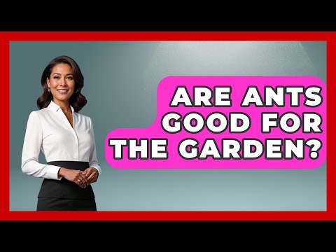 Are Ants Good For The Garden? - The Plant Enthusiast