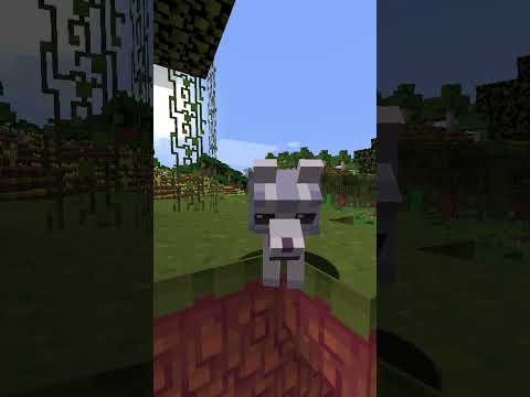 Types of Resource Packs in Minecraft