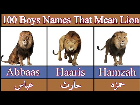 99 Arabic, Islamic Baby Boys Names That Mean Lion ||Islamic Boys Names With Meaning In Urdu/English