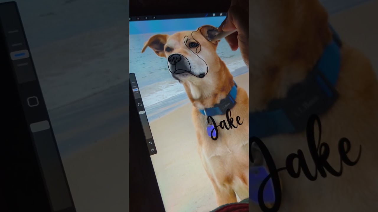 fun and easy one line art