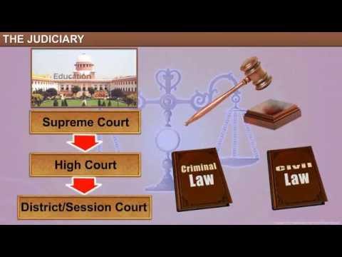 The Judiciary (Overview) Video Lecture - Class 8