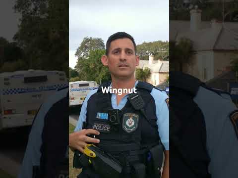 Tyrant officer lies and says NSW police are a private organisation #police #funny