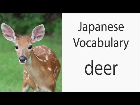 How to say "Deer" in Japanese