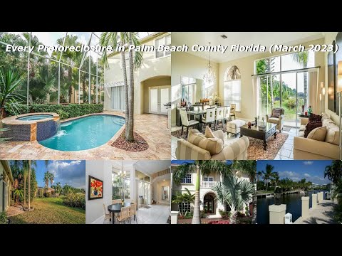 Every Preforeclosure in Palm Beach County Florida (March 2023)