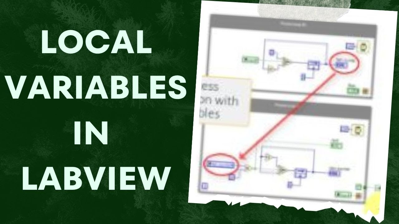 Local Variables in LabVIEW: When, Why, and How to Use Them Effectively?
