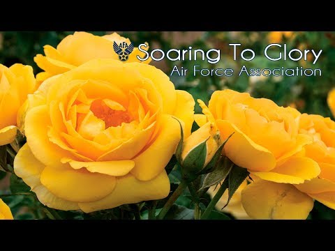 Soaring To Glory With The Air Force Association