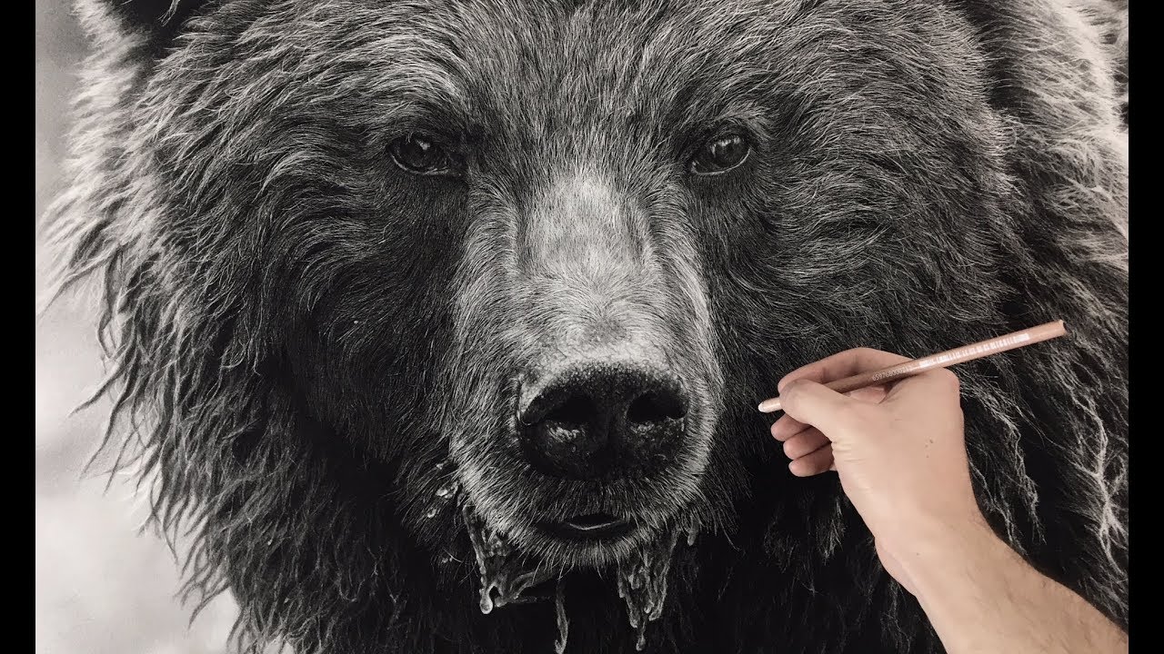 Hyperrealistic Bear Drawing / 90+ Hour Time-lapse