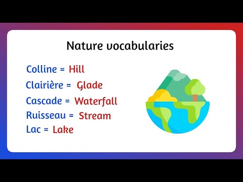 20 MOTS de VOCABULAIRE à connaître en ANGLAIS sur le thème de la NATURE 🌍