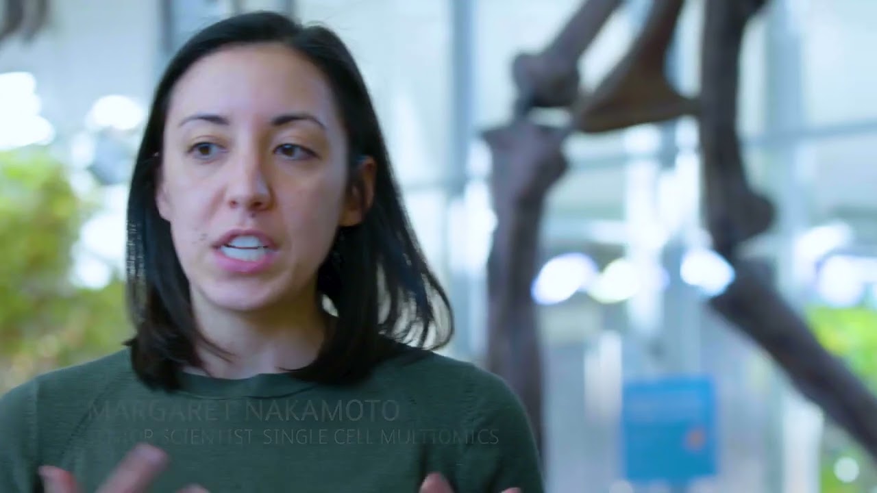 BD Summit  Single Cell Immunology