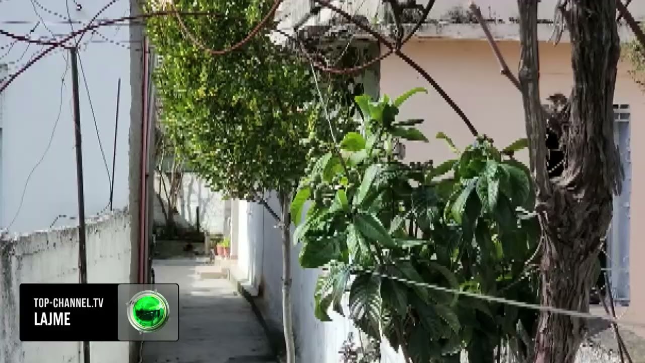 Top Channel/ Për 8 Mars, gruaja plagos me thikë burrin në Fier - Top ... Top Channel/ Për 8 Mars, gruaja plagos me thikë burrin në Fier - Top ...