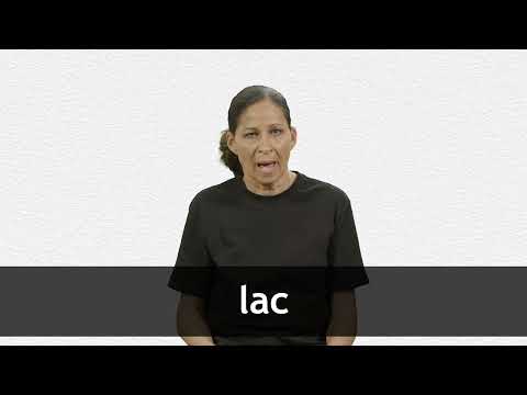 English Translation of “LAC” | Collins French-English Dictionary