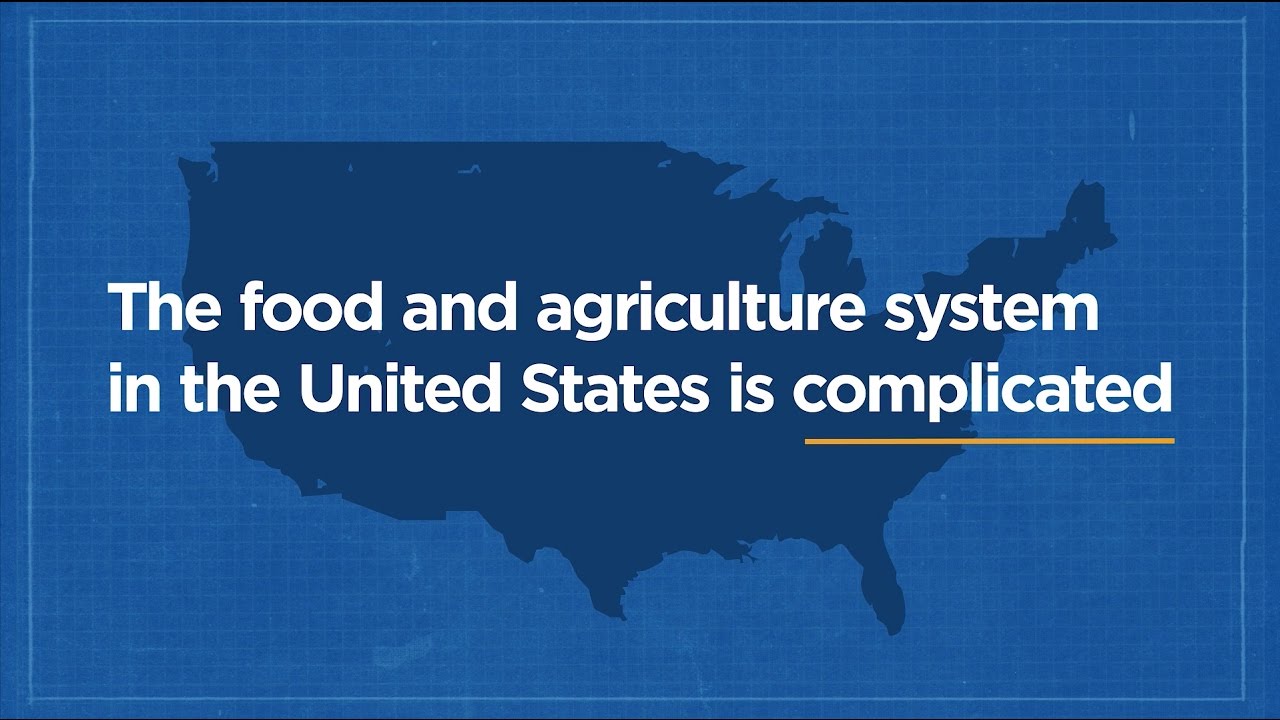 Why A National Food Strategy?