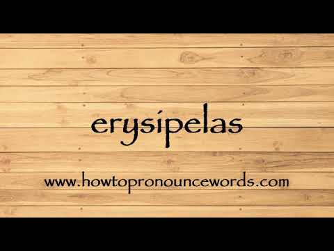 How To Pronounce erysipelas New Video