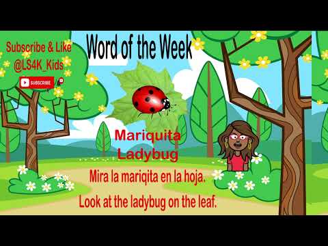 Ladybug - Word of the Week