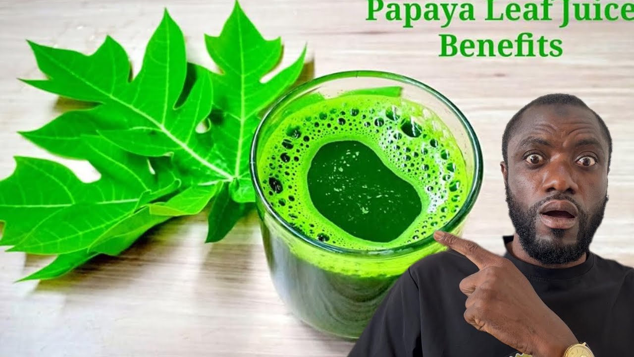 Top 5 health benefits of papaya leaves you can try