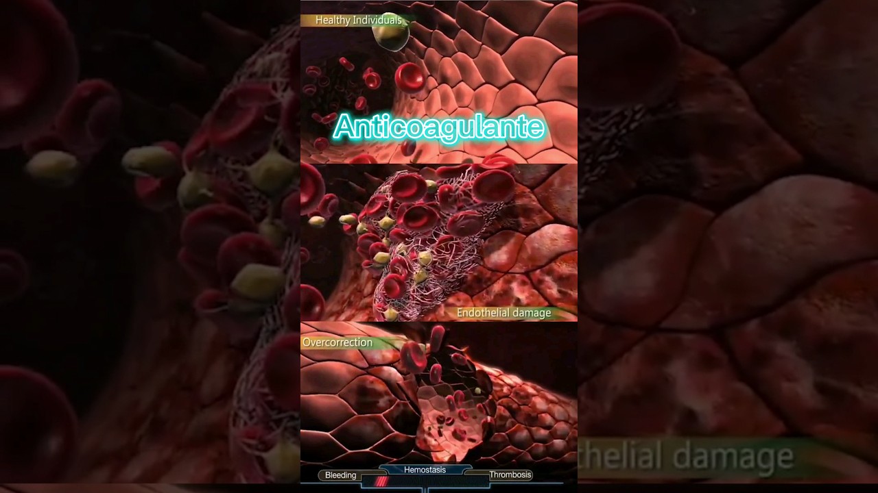 ANTICOAGULANTE - DEFINICIÓN MÉDICA | Interpretación Consecutiva