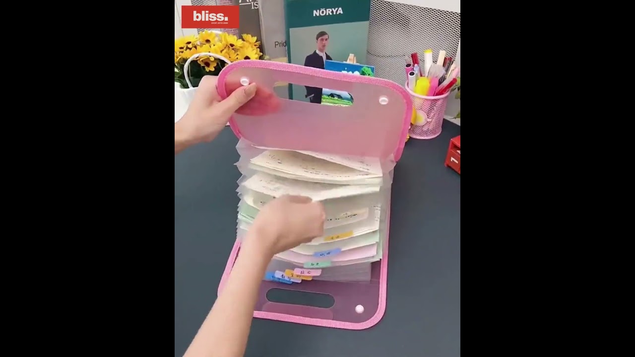 📂 Never Lose a Document Again! Upright Handheld Accordion File Organizer – 2-Pack Deal!