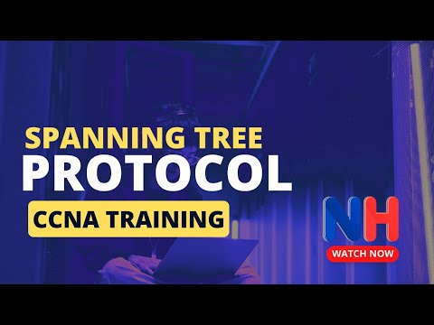 CCNA Day 19: Mastering Spanning Tree Protocol (STP) | CCIE Training #networkershome #networking