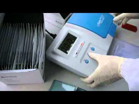 GenScript eStain® 2.0 Protein Staining System 3-steps-in-one | Welcome ...
