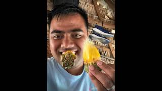10 Things to Do in Te Tautua Beach, Nanumea Kiribati | Gems.Travel