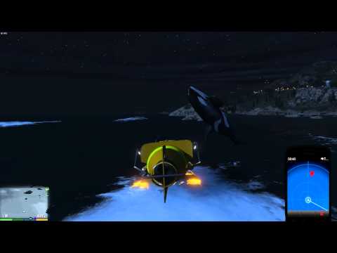 Steam Community :: Video :: GTA 5 - Killer of killer whale (Fail)