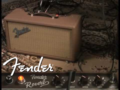 Fender Reverb Tank - Artists Using It | Equipboard