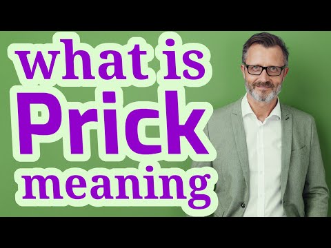 Prick | Meaning of prick