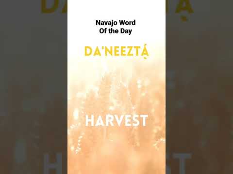Navajo Word of the Day - Harvest