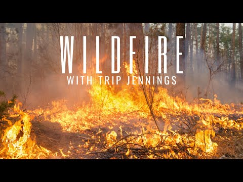 The Truth About Wildfire Webcast