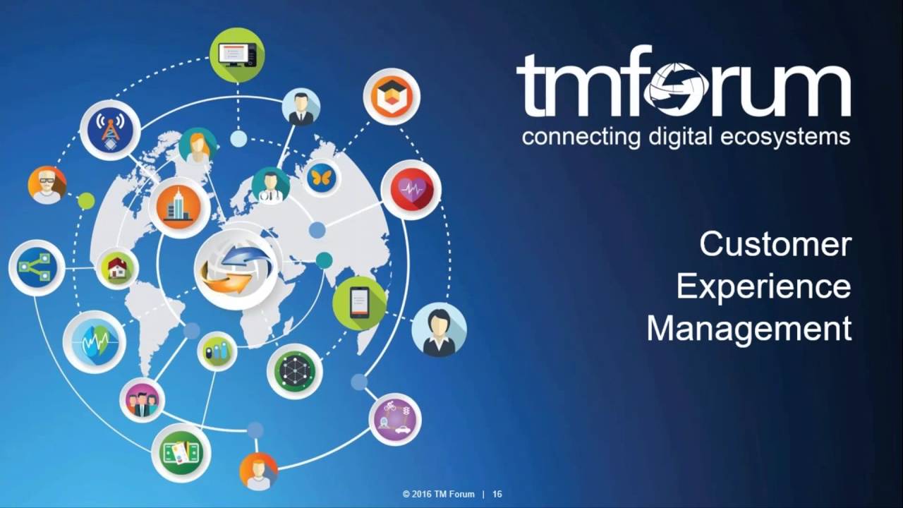 Getting started: Data Analytics, Customer Experience Management Metrics