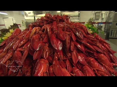 Hong Kong: a horse-racing feast