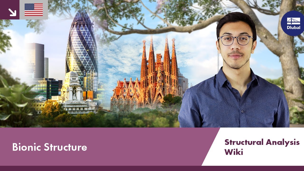 What does a bionic structure mean?