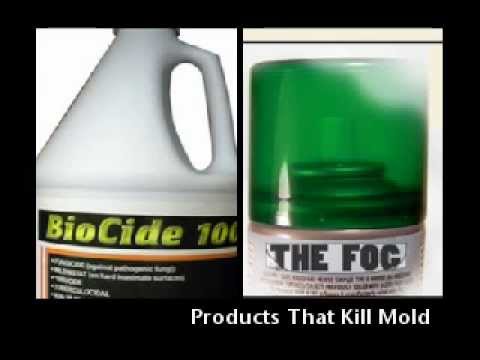 Mold Cleaning Products 803 233 4353